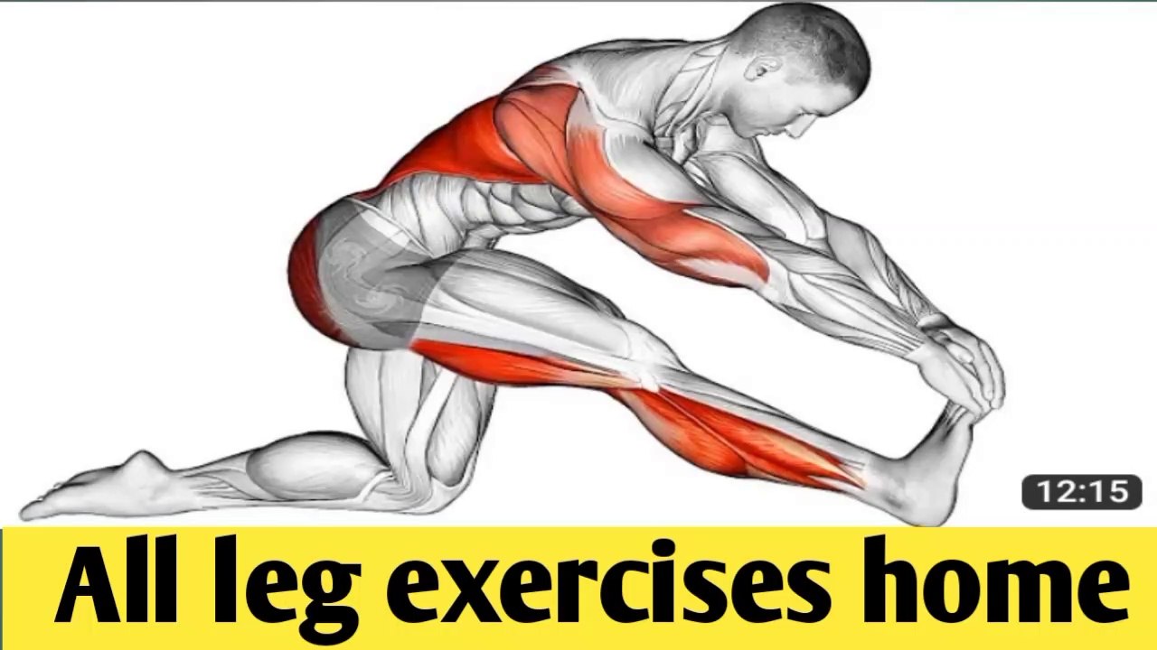 Exercise for all leg muscles _ workout at home - video Dailymotion