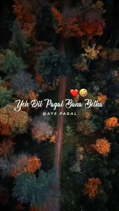 Share_To_Your_Story_%E2%96%BC%E3%83%BB%E1%B4%A5%E3%83%BB%E2%96%BC__Note ...