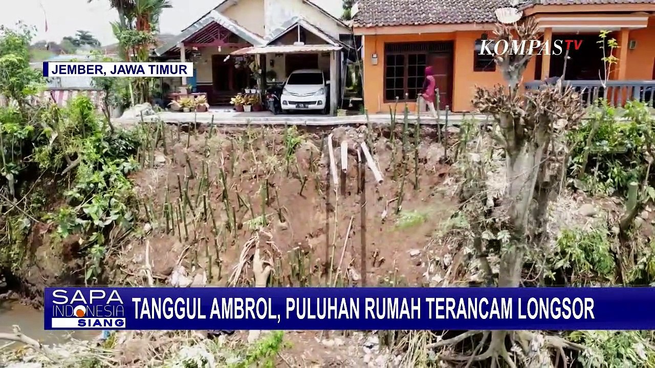 Tanggul Ambrol, Permukiman Warga di Bantaran Sungai Manggisan Jember ...