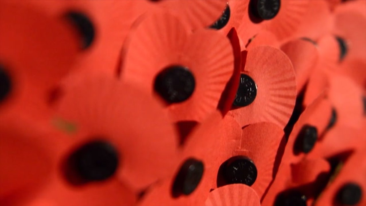 Why do people wear red, white and purple poppies and what are their ...