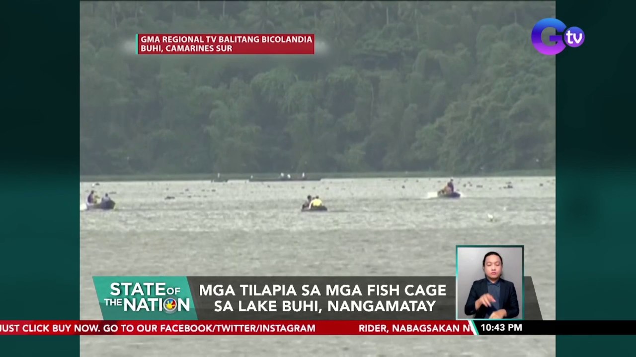 Mga tilapia sa mga fish cage sa Lake Buhi, nangamatay | SONA - video ...