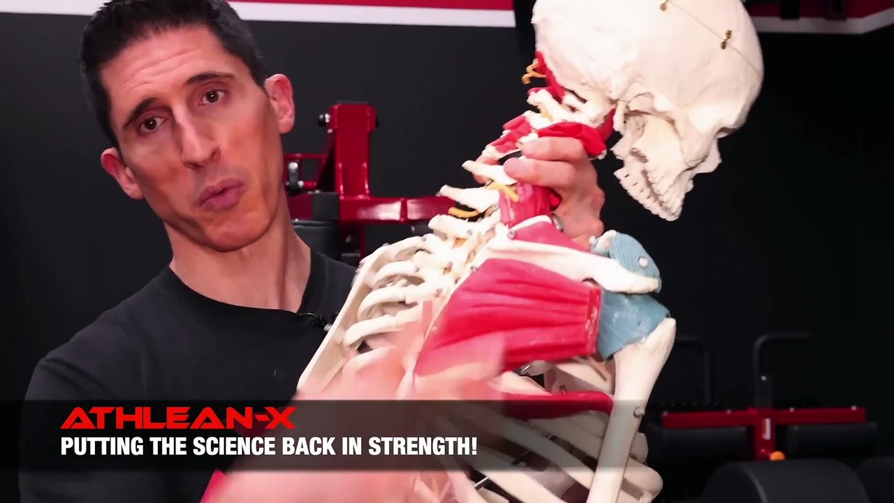 How to Fix Slumped Posture (NO MORE SLOUCHING!) - video Dailymotion