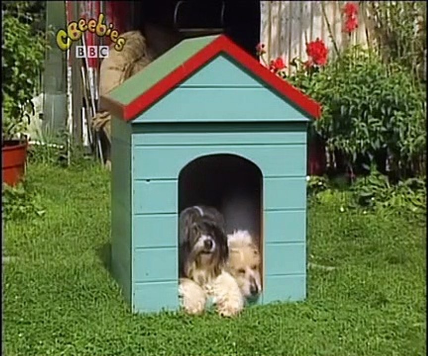 Come Outside - Snails - video Dailymotion