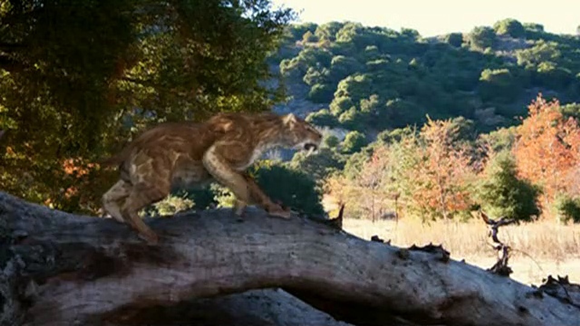 Prehistoric Predators Razor Jaws