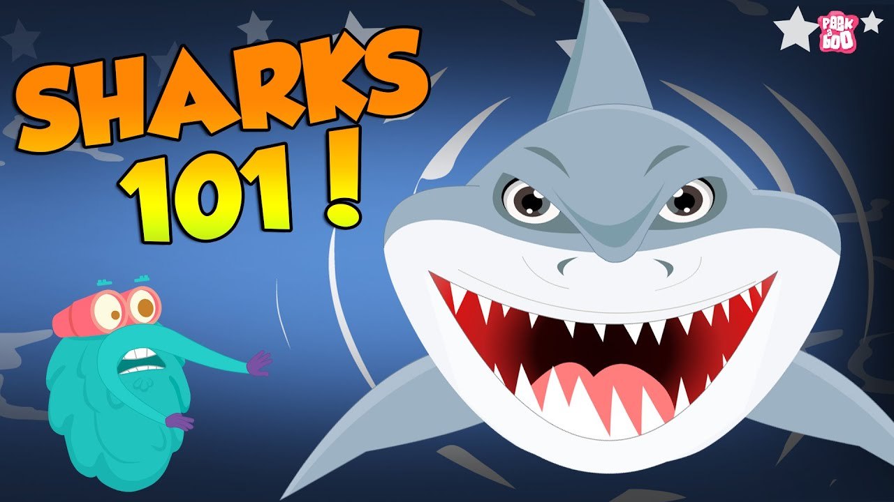 Sharks 101 | Shark Facts | The Dr Binocs Show | Peekaboo Kidz - video Dailymotion