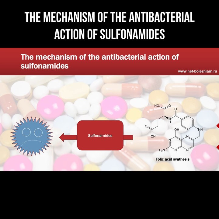 The mechanism of the antibacterial action of sulfonamides - video ...