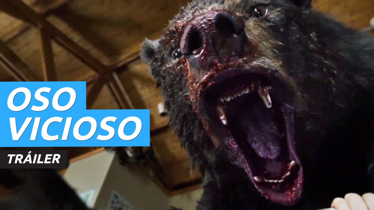 Tráiler de Oso vicioso, la delirante comedia de terror inspirada en ...