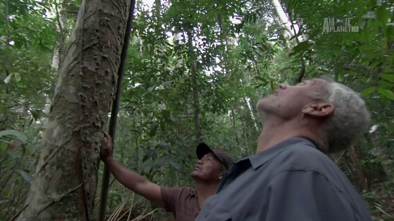 River Monsters 6 - Man-Eating Monster - video Dailymotion