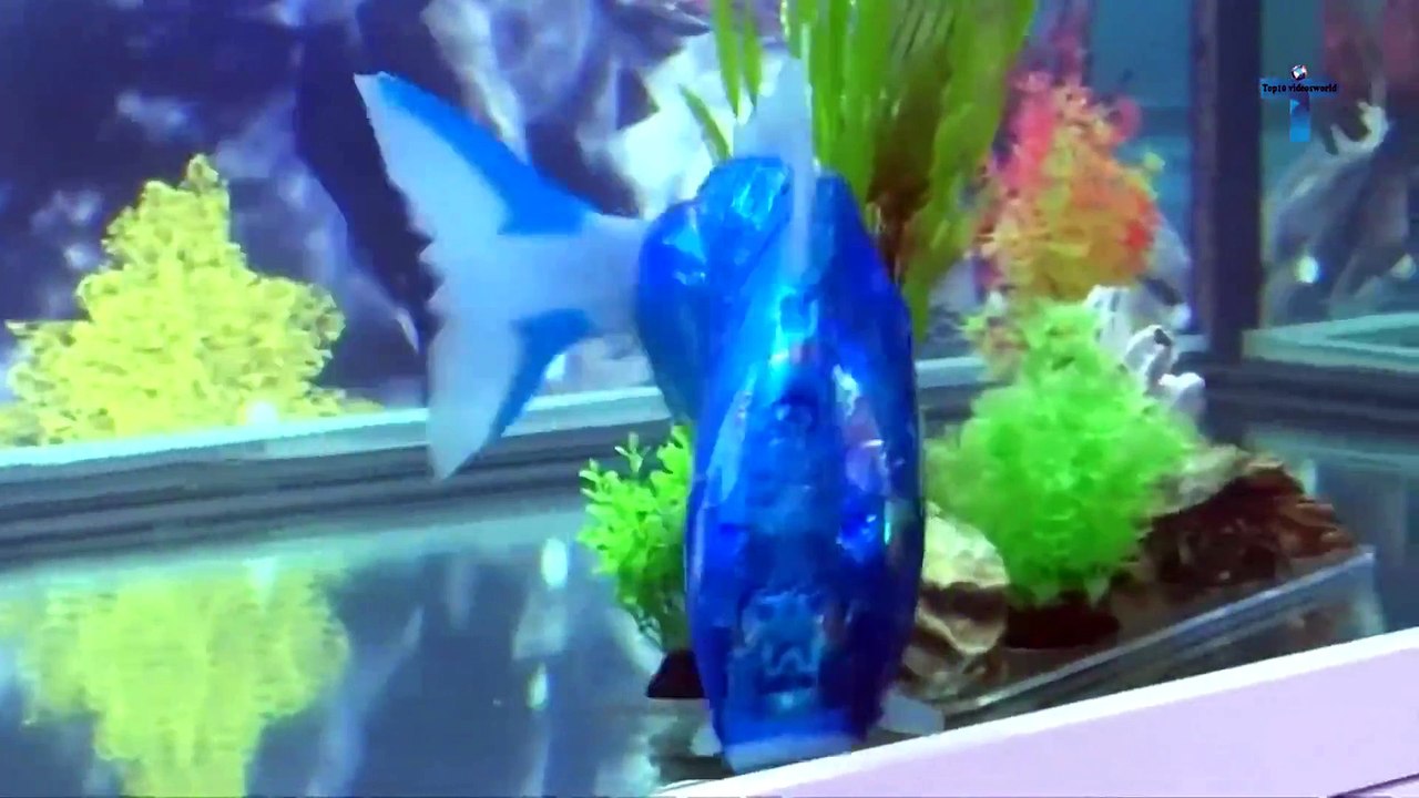 UNBELIEVABLE MOMENTS CAUGHT ON CAMERA #4 - video Dailymotion