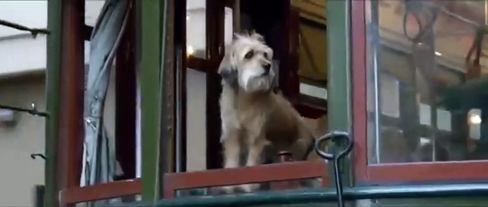 Benji (2018) Watch HD - Vídeo Dailymotion