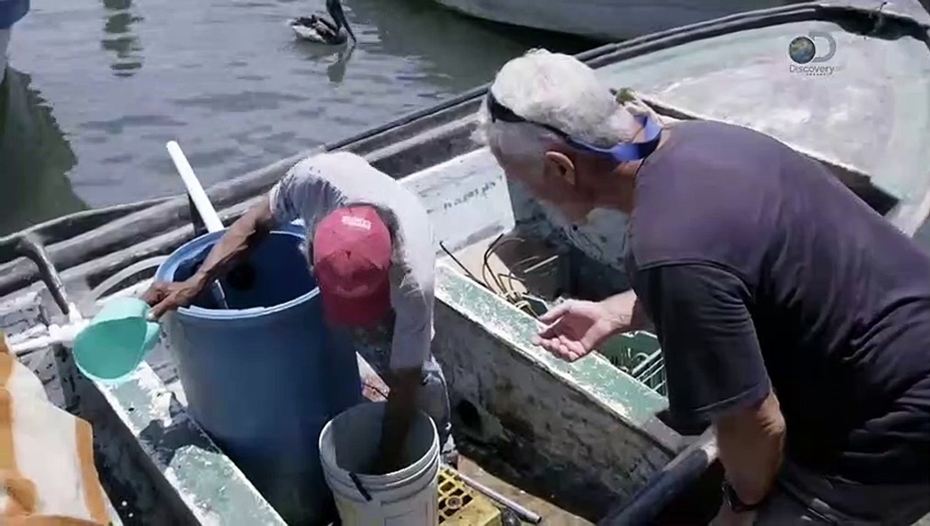 Devil Fish River Monsters Harvesting The Devil Fish & Go To Market