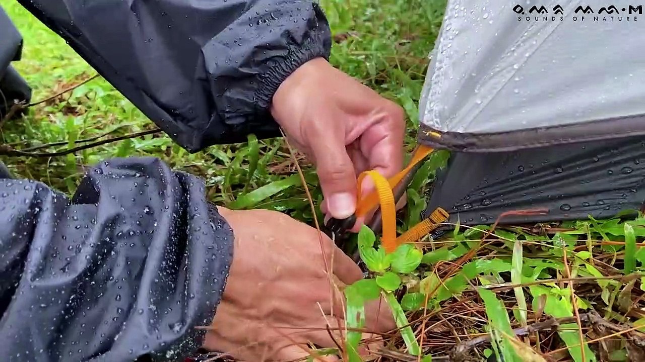 SOLO CAMP - CAMPING WITH THUNDERSTORM OVERNIGHT_ ASMR - video Dailymotion