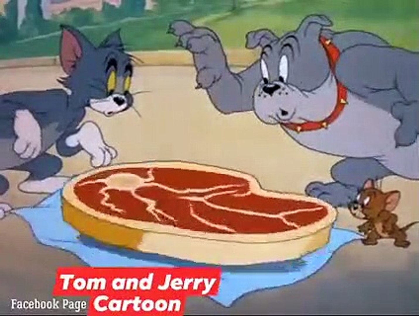 Zarry Cartoon