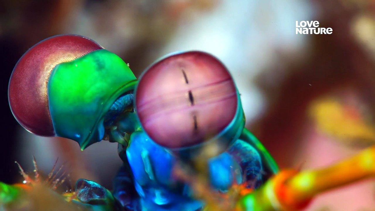 Alien Abyss - Origin Stories - video Dailymotion