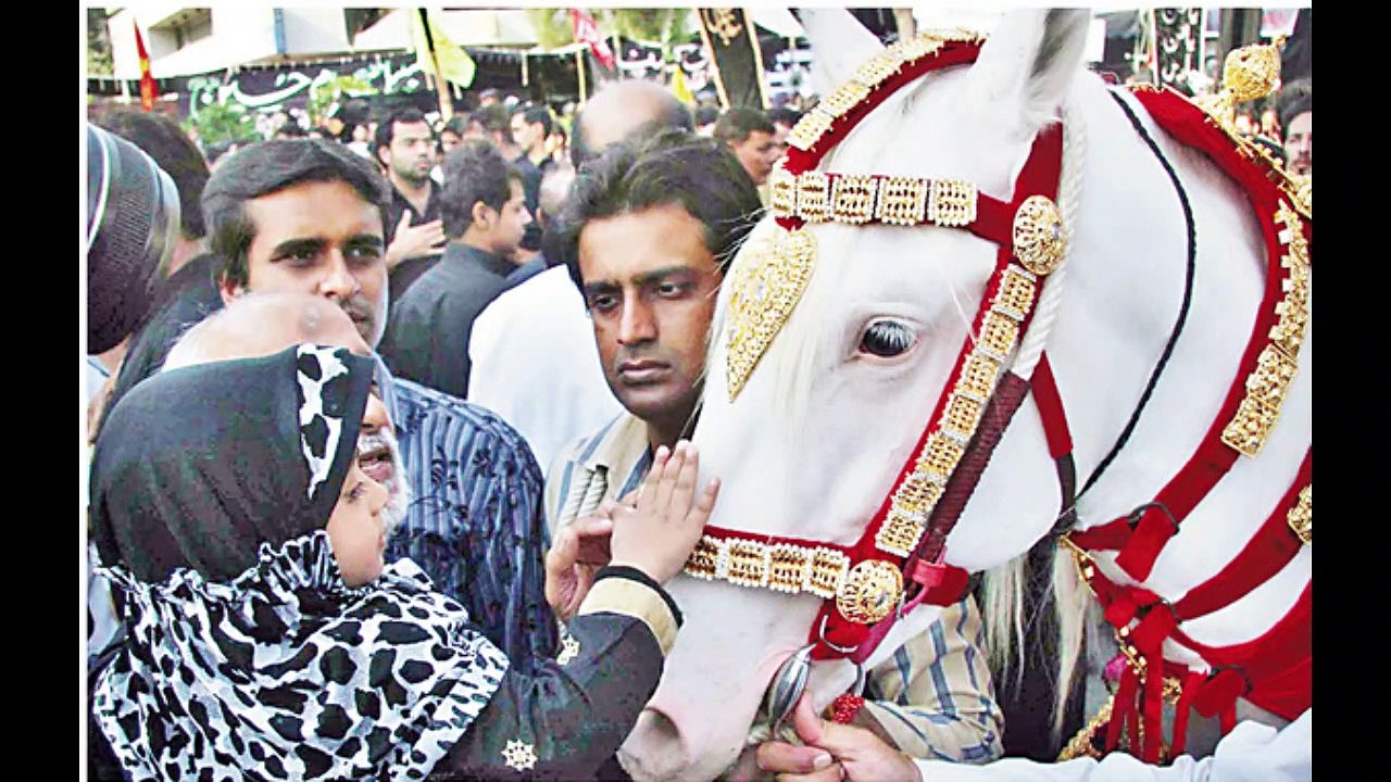 Kya Wahabi bhi Ghore (Horse) ko chomty hain ? - video Dailymotion