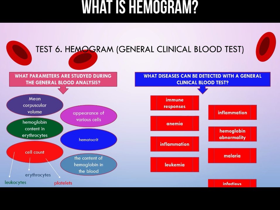 What is hemogram? - video Dailymotion