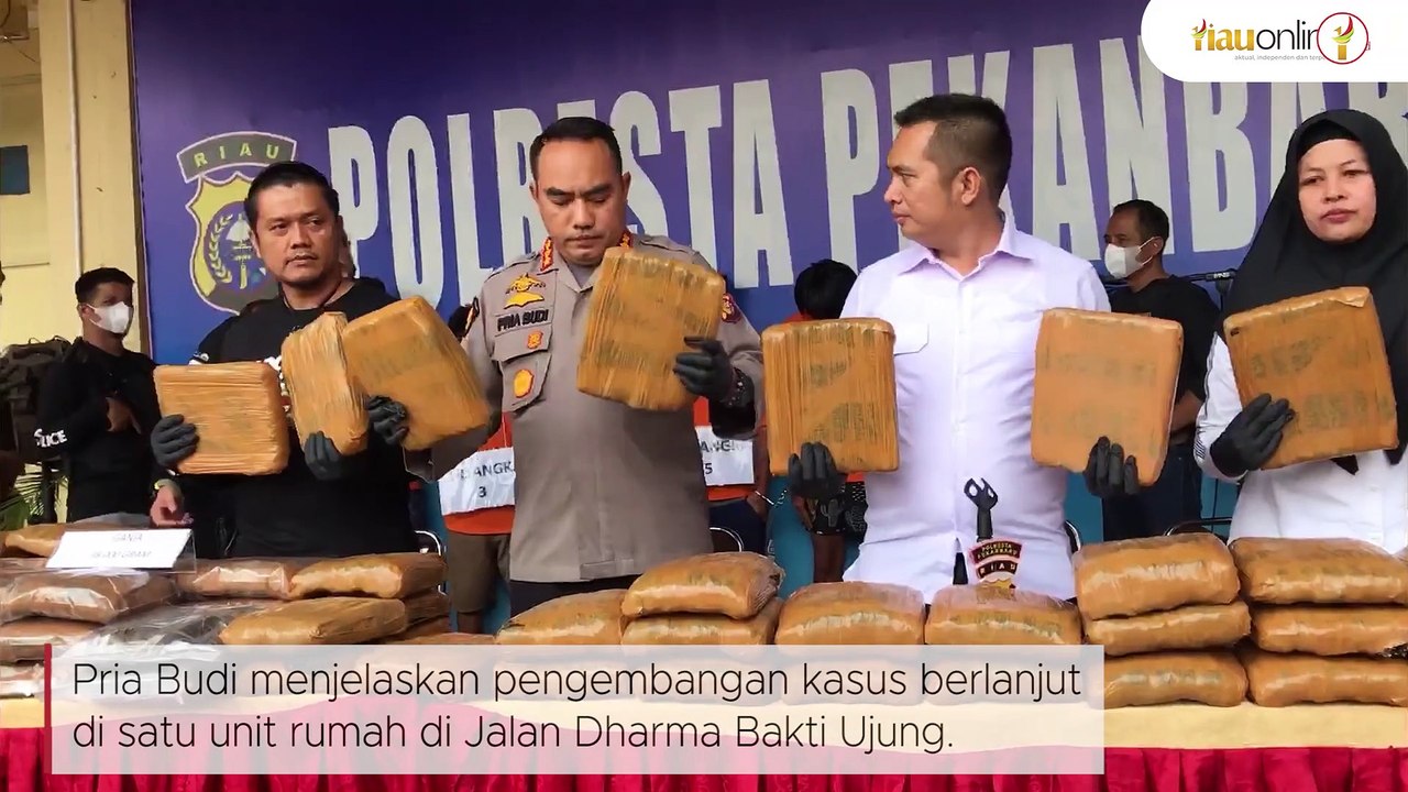 Dikirim Lewat Ekspedisi, Polisi Gagalkan Peredaran 73 Kg Ganja Kering Di Pekanbaru - Video ...