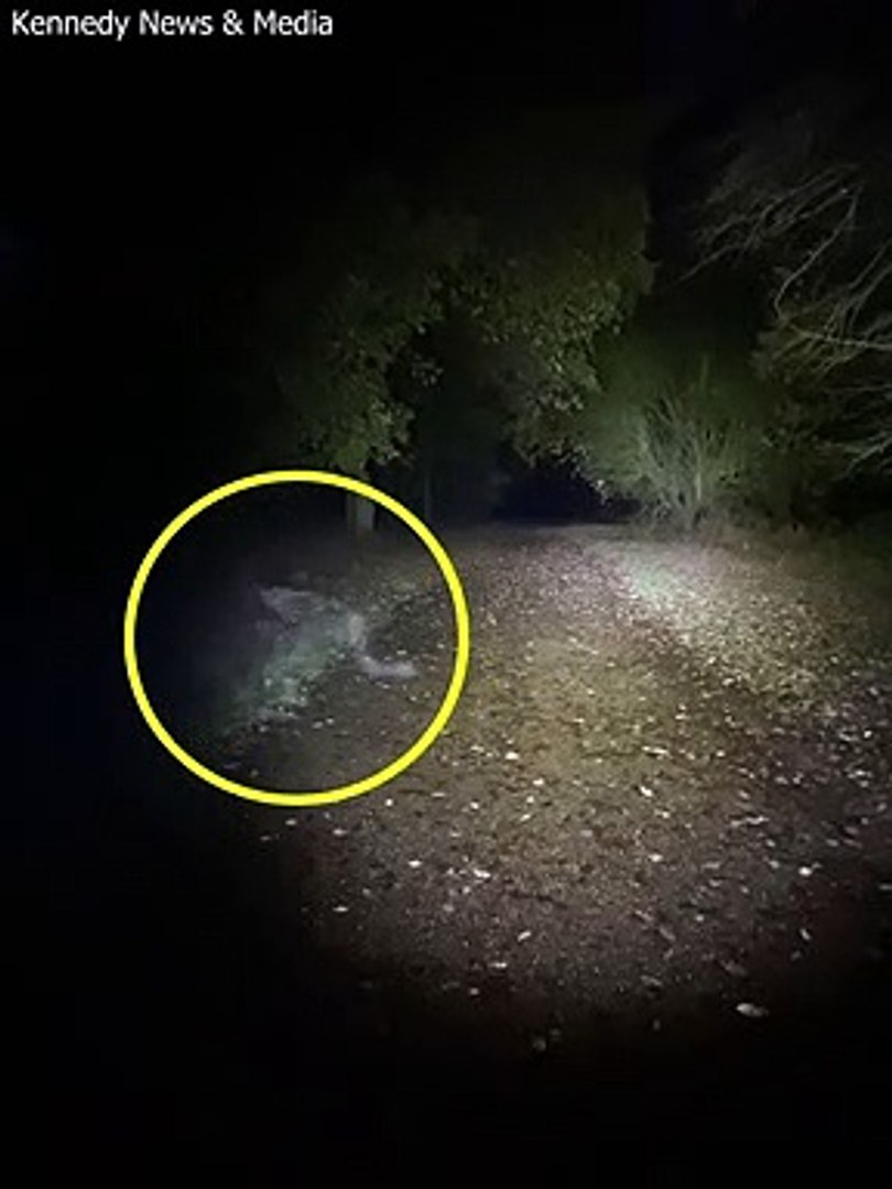 Real Ghost Caught On Camera