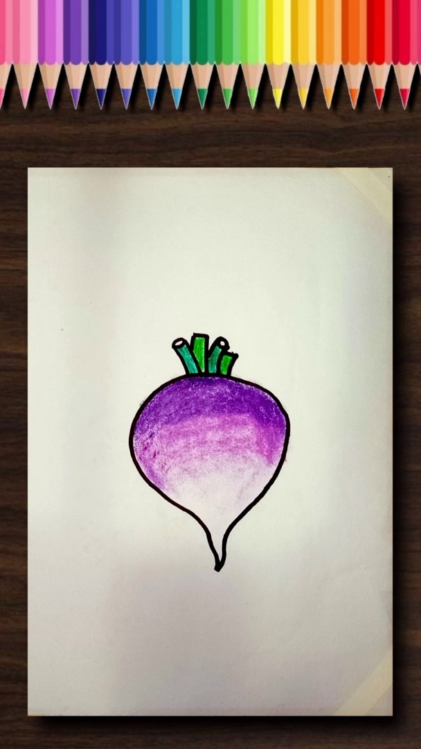 Turnip Drawing