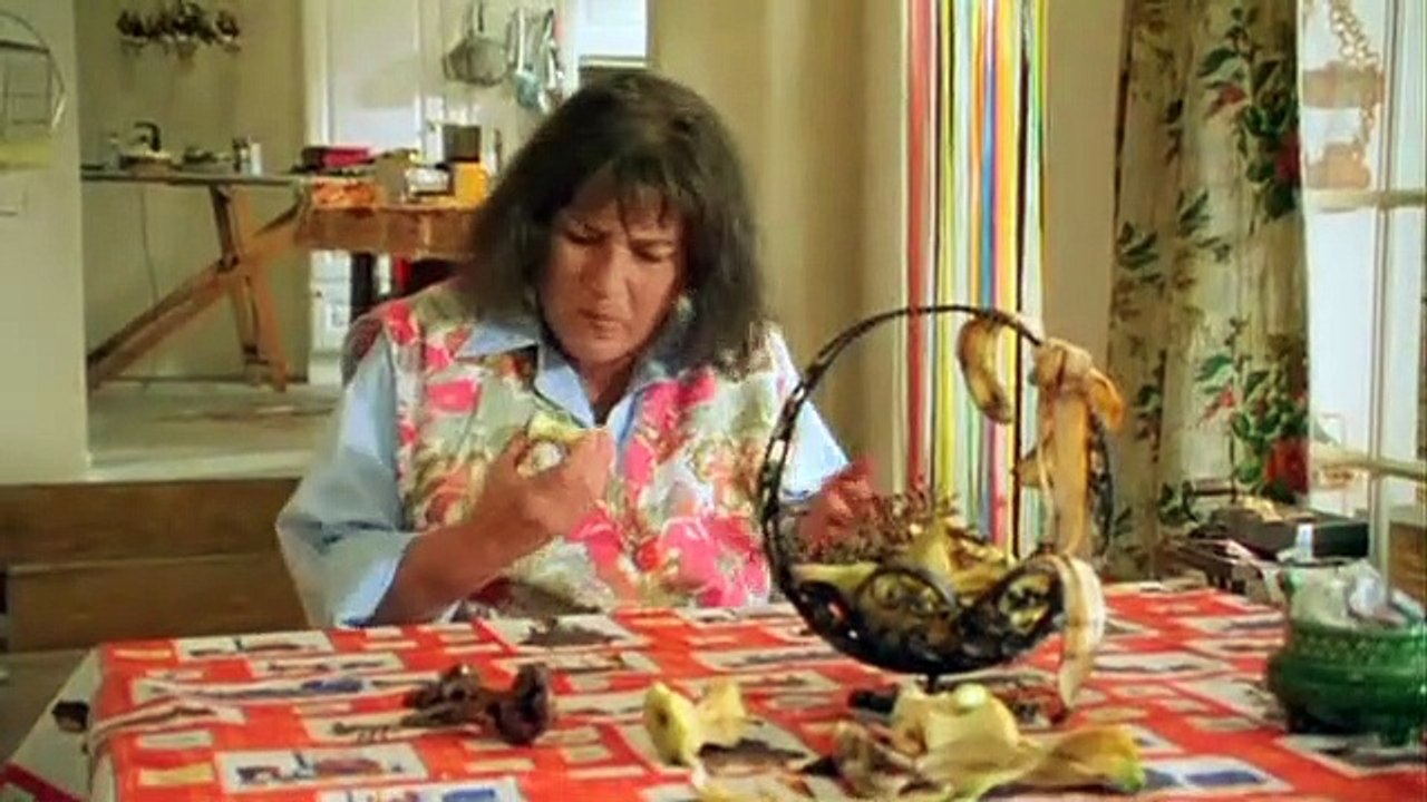 Flodder – Eine Familie zum Knutschen Staffel 2 Folge 1 - video Dailymotion