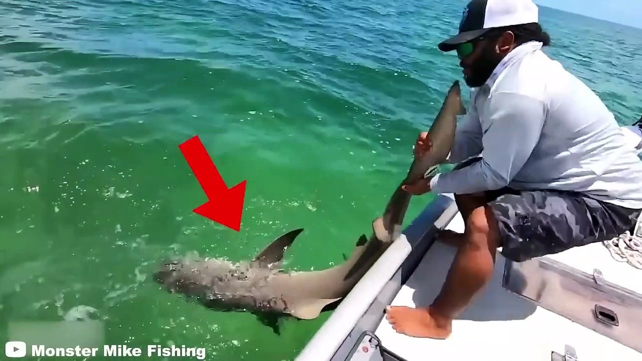 30 Scariest Shark Encounters Of The Year Part 2 Video Dailymotion