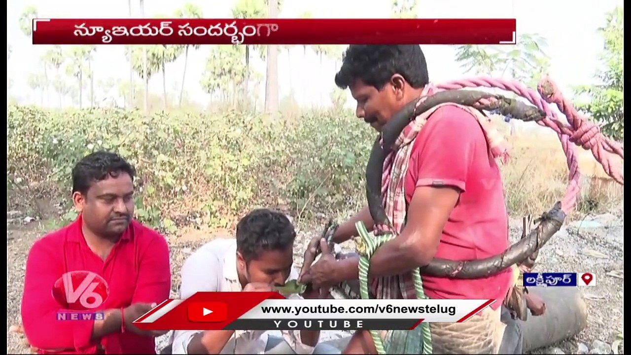 Huge Demand For Palm Wine (Eetha Kallu) In Villages On New Year ...