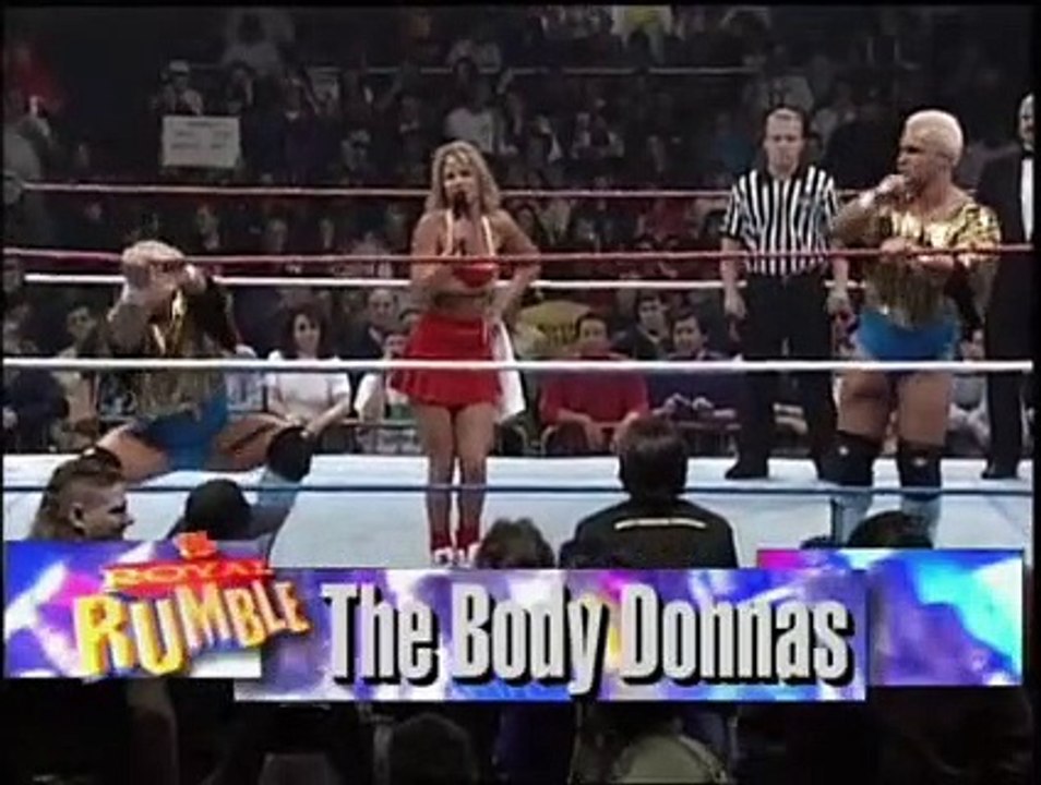 The Smoking Gunns (c) Vs. The Bodydonnas (w/Sunny) (WWF Tag Team ...