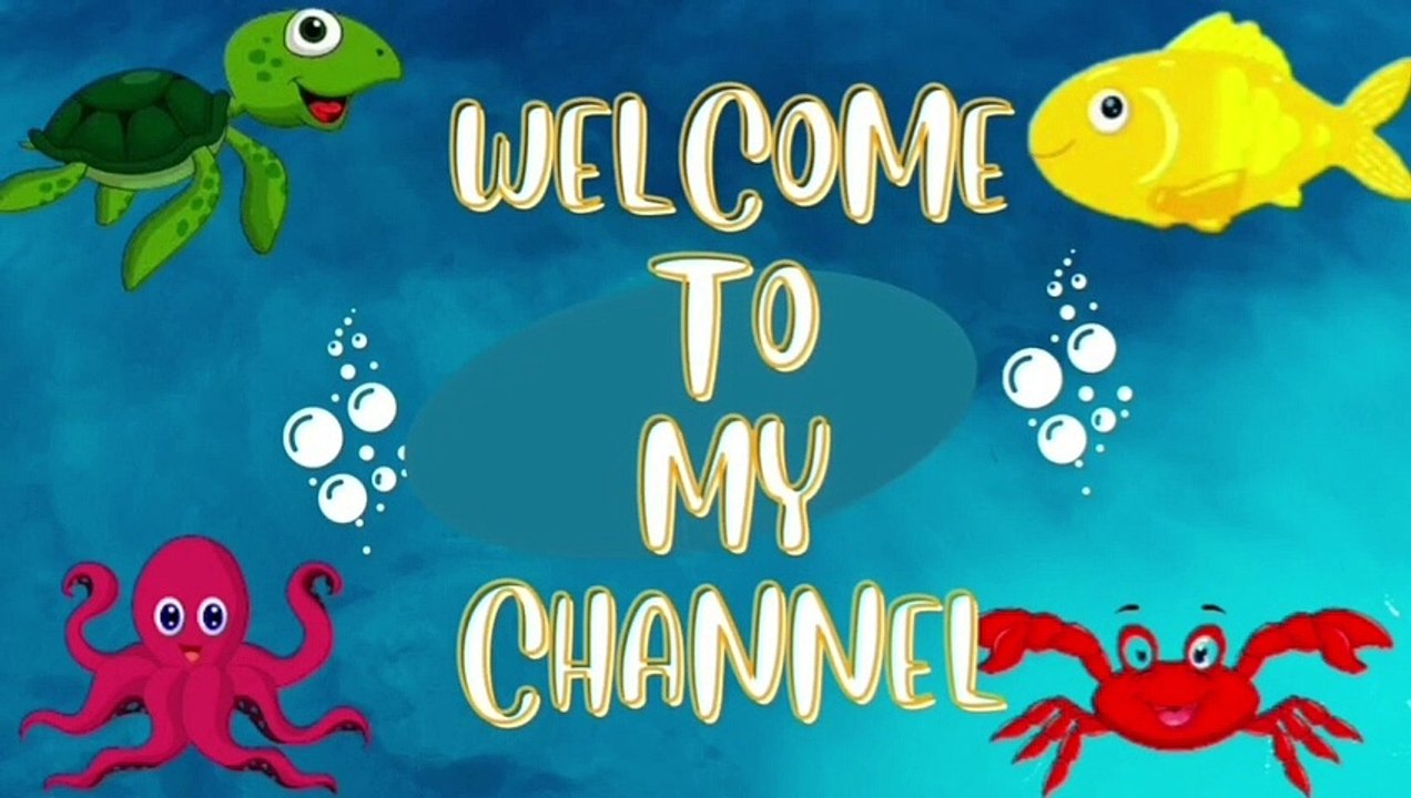 SOUNDS OF ANIMALS - video Dailymotion