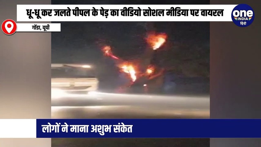 Gonda : धू-धू कर जलते पीपल के पेड़ का वीडियो सोशल मीडिया पर वायरल ...