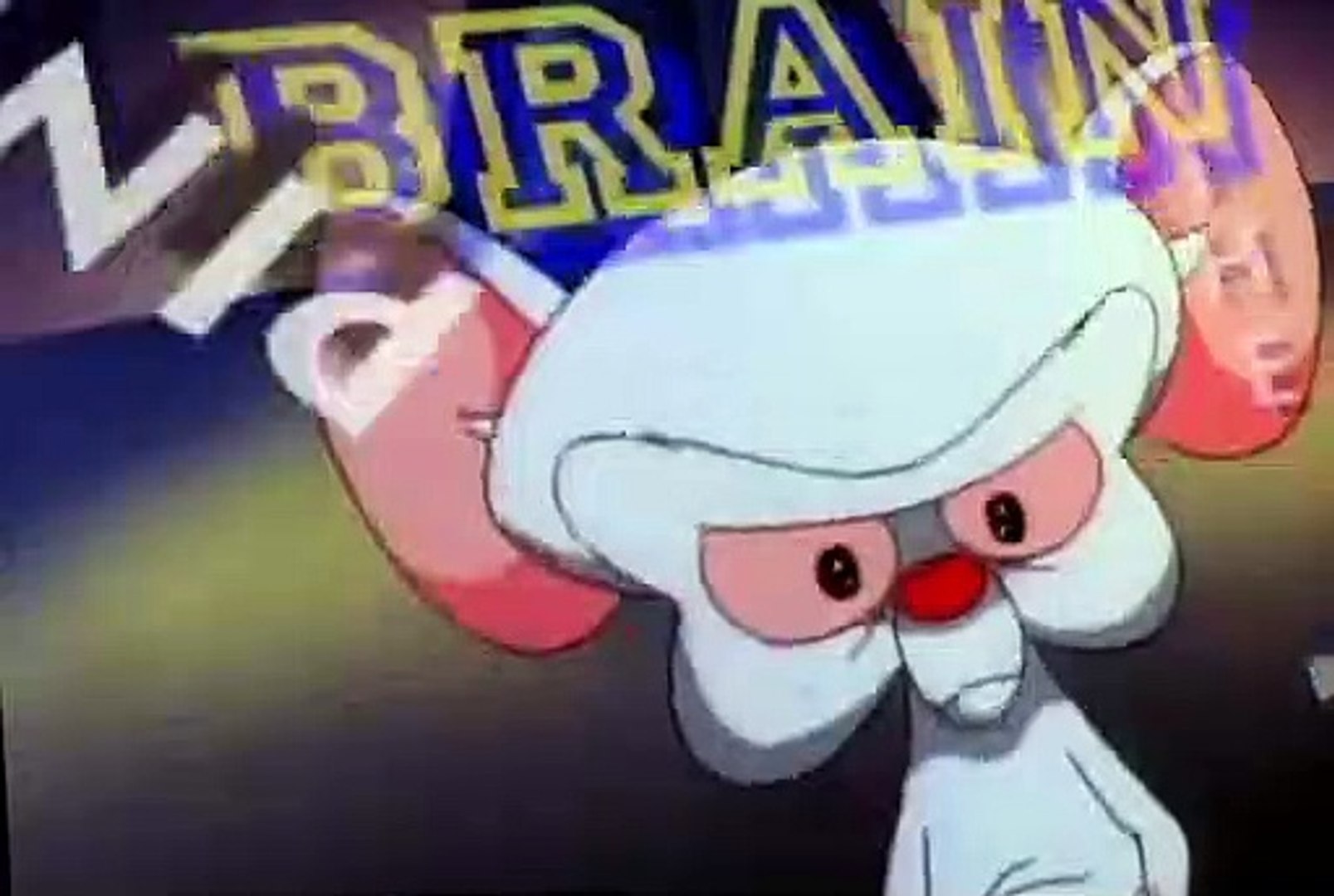 Pinky And The Brain Vhs