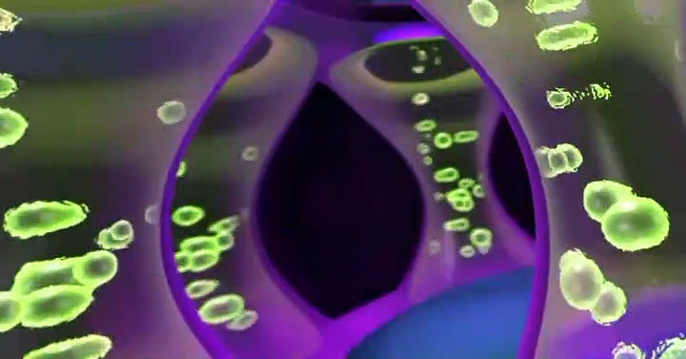 Numberjacks Numberjacks S02 E020 Hundreds and Thousands - video Dailymotion