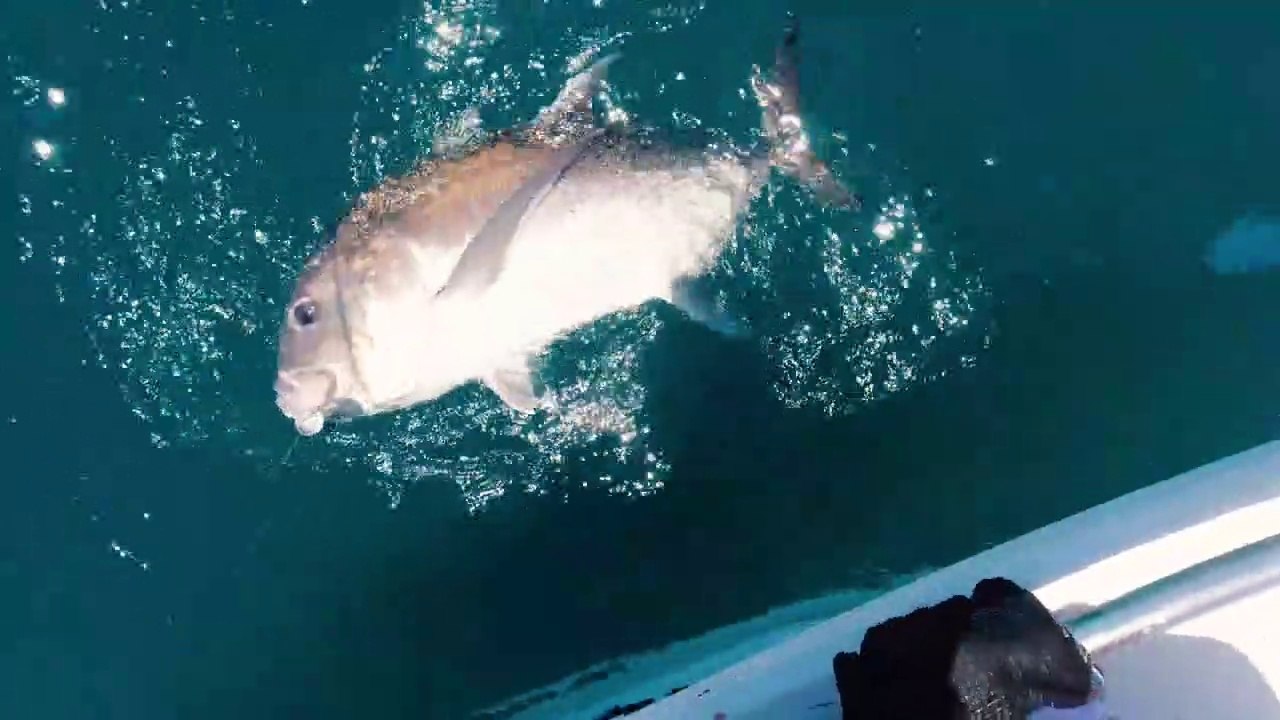 FISHING ON THE ISLAND IS AWESOME, THE FISH SHOOTS. - Video Dailymotion