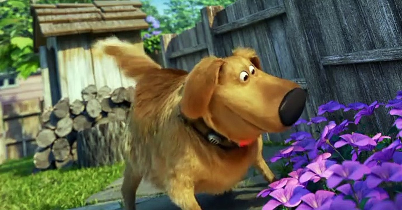 Dug Days Dug Days E004 Flowers - video Dailymotion