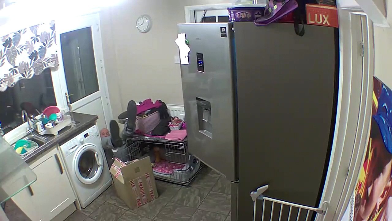Man Trips Over Box Opening Fridge - video Dailymotion
