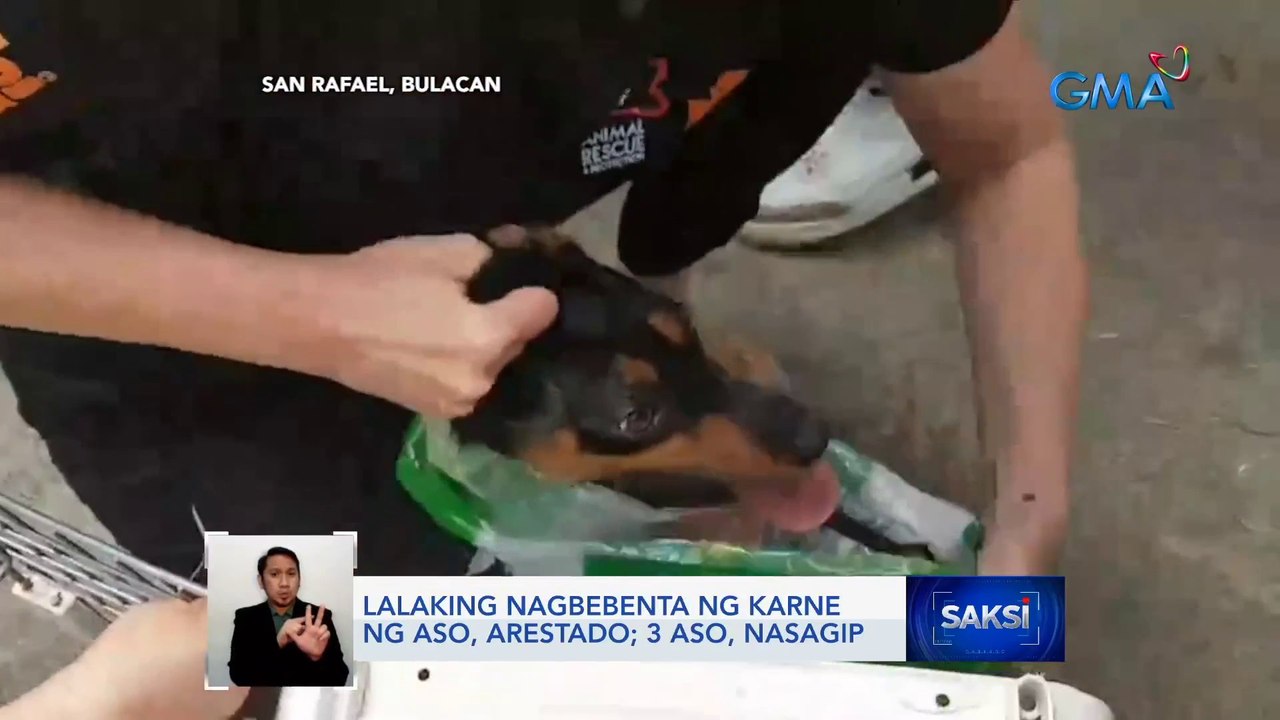 Lalaking nagbebenta ng karne ng aso, arestado; 3 aso, nasagip | Saksi ...
