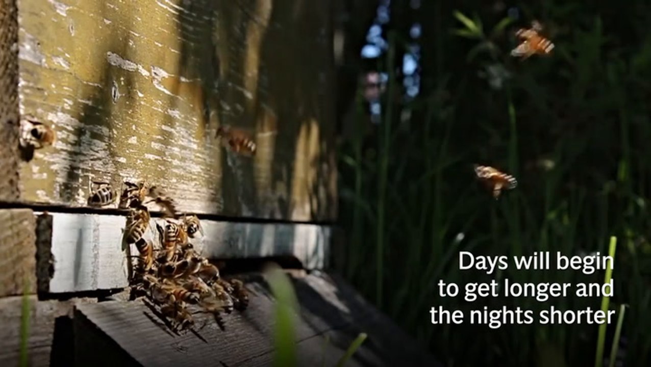 Spring equinox: When is the first day of spring and what is the vernal ...