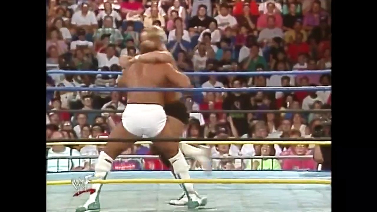 Stone Cold Steve Austin: What? WWF Documentary 2002 - video Dailymotion