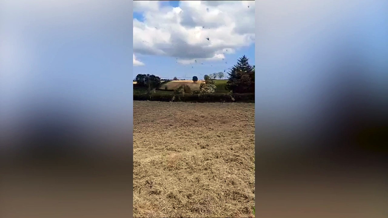 Woman spotted WHIRLWIND spinning through her garden caused by hot ...