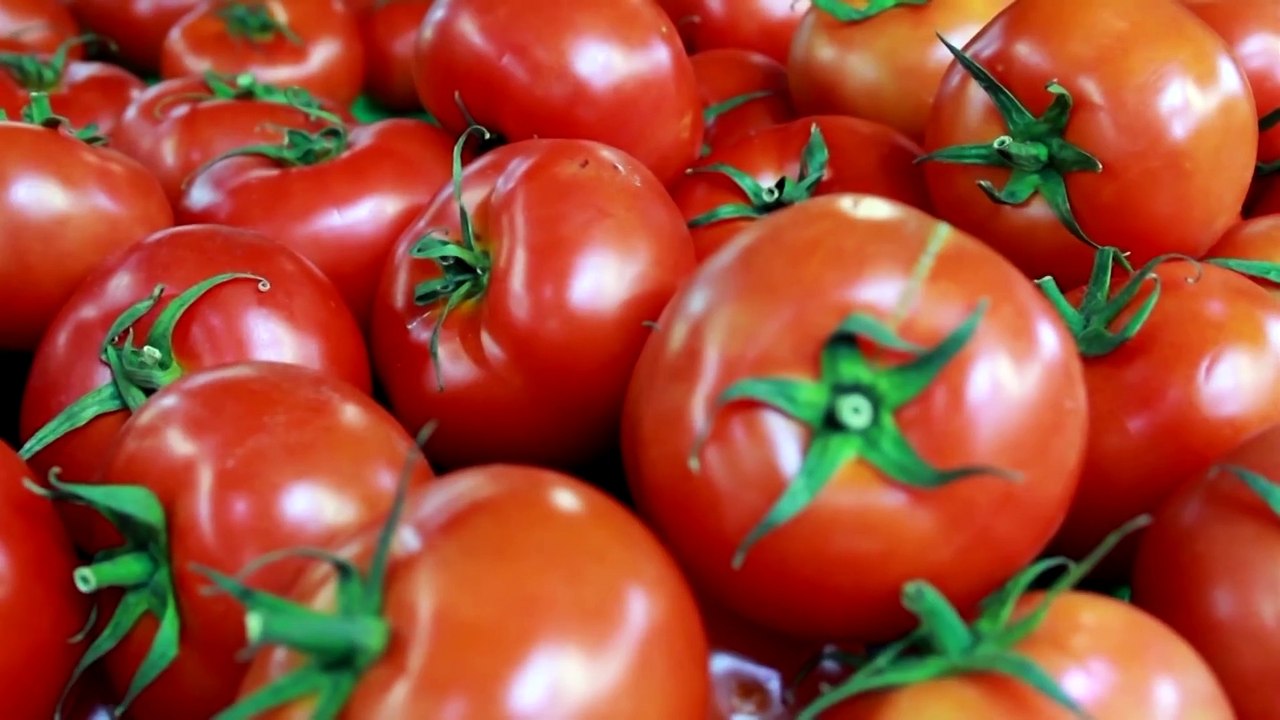 ΓΕΩΡΓΙΑ - ΚΤΗΝΟΤΡΟΦΙΑ - ΑΛΙΕΙΑ - ΠΑΡΑΓΩΓΑ. ΠΡΟΓΡΑΜΜΑΤΙΚΕΣ ΔΗΛΩΣΕΙΣ ΤΗΣ ...