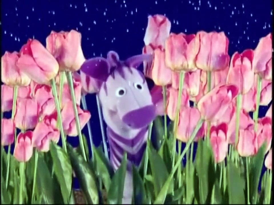 Baby Einstein Puppets Show Anthology Collection Full Movie Compilation ...