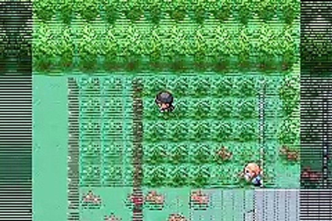Pokémon FireRed Rocket Edition online multiplayer - gba - Vidéo Dailymotion