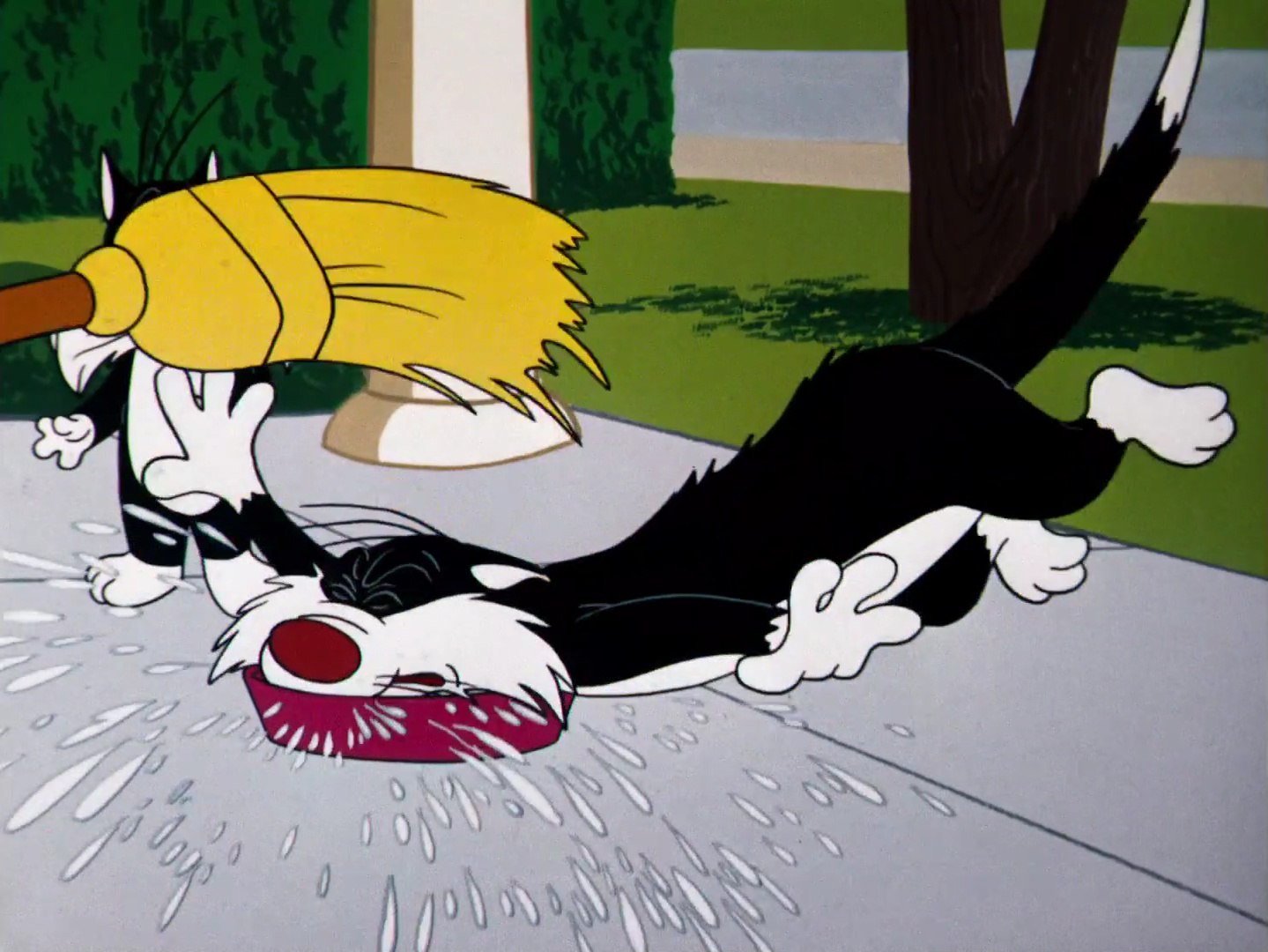 Looney Tunes Sylvester Jr