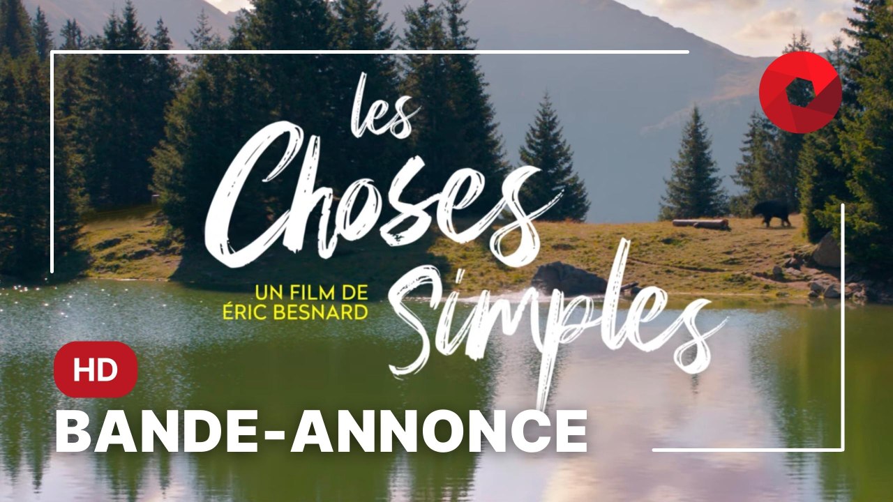 LES CHOSES SIMPLES, de Eric Besnard avec Lambert Wilson, Grégory Gadebois, Marie Gillain : bande ...