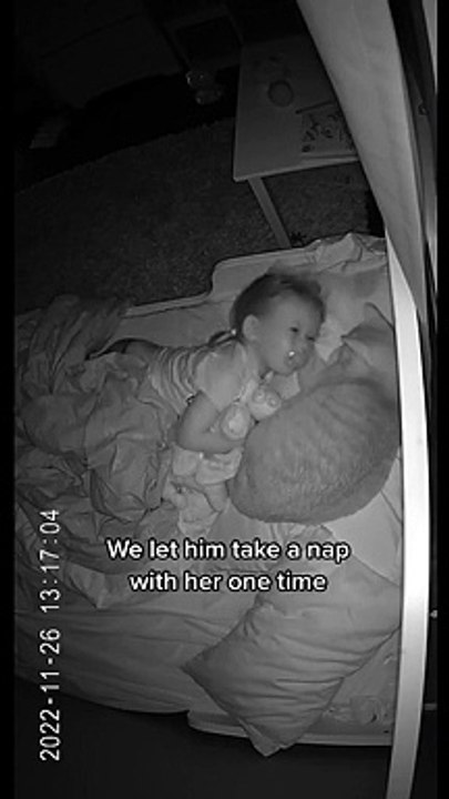 Toddler and Cat Take an Adorable Nap Together - video Dailymotion