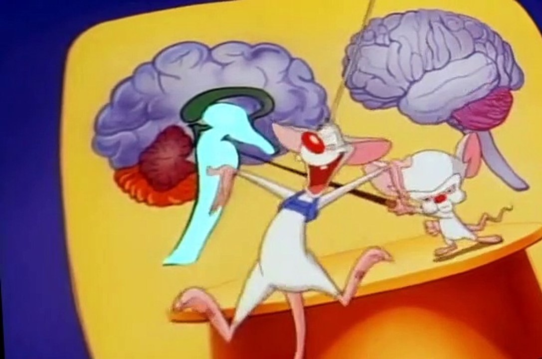 Pinky and the Brain S01 E05 - video Dailymotion