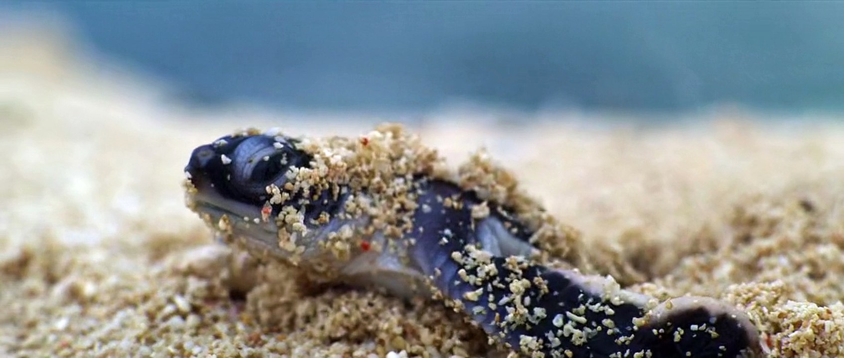 Netflix Documentary | Our Universe E01 Chasing Starlight HD - video ...