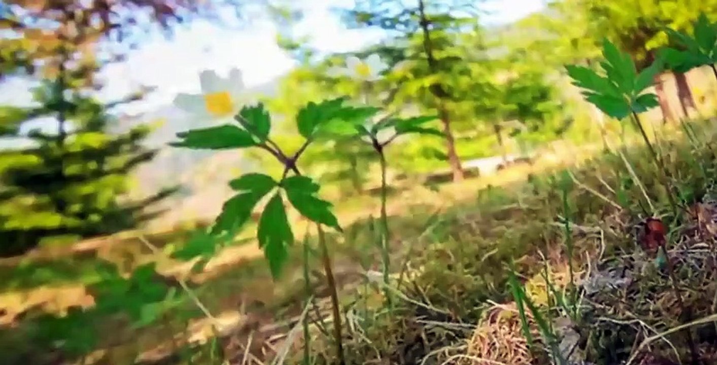 Ask the StoryBots - S03 E003 - Why Do People Look Different - video ...