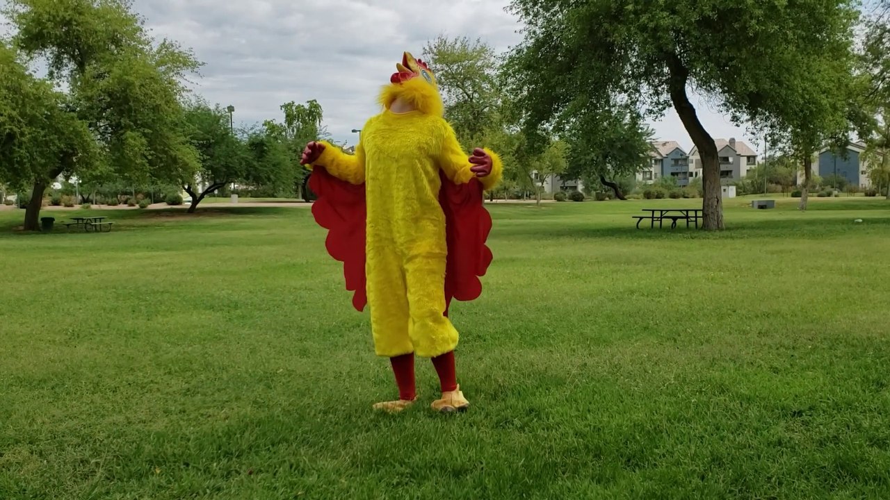 Chicken Dance - The Chicken Song - video Dailymotion