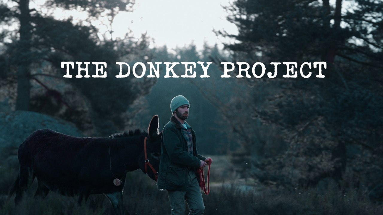 THE DONKEY PROJECT - Vidéo Dailymotion