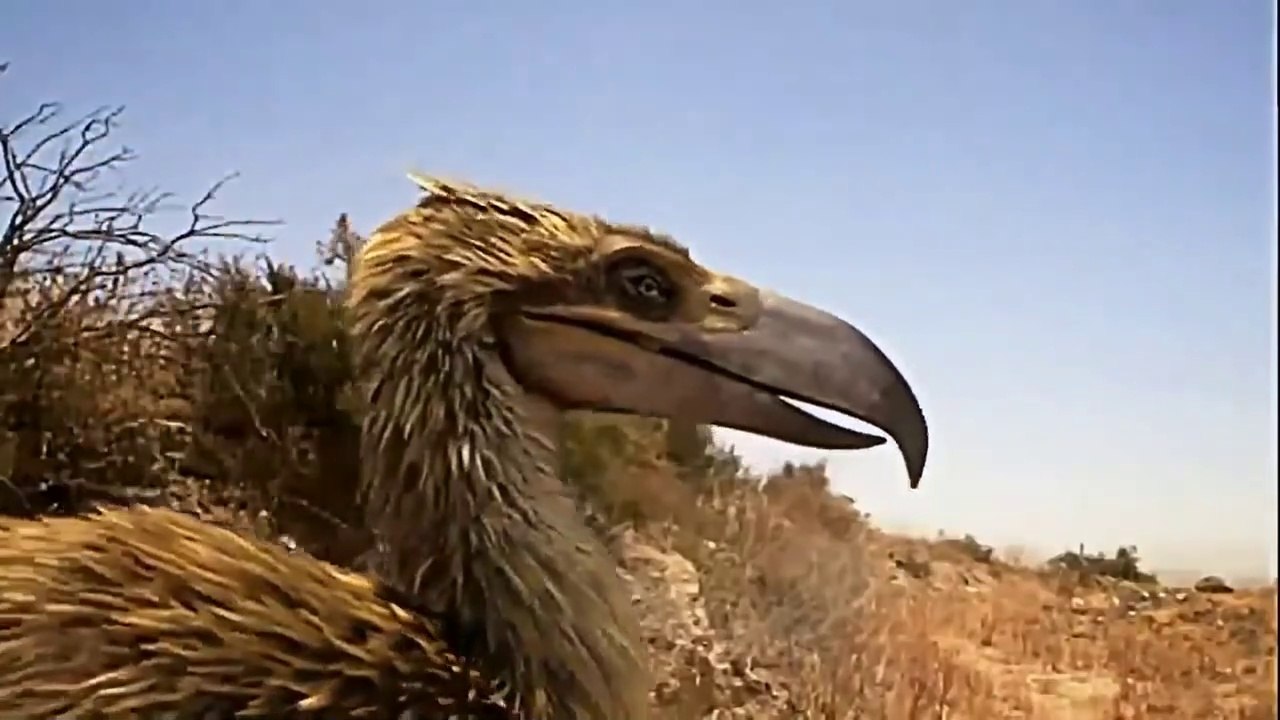 Prehistoric Predator Documentary - Vídeo Dailymotion